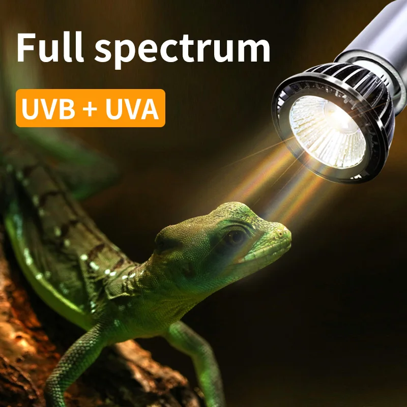 An In-Depth Look At UV Light And Its Proper Use With