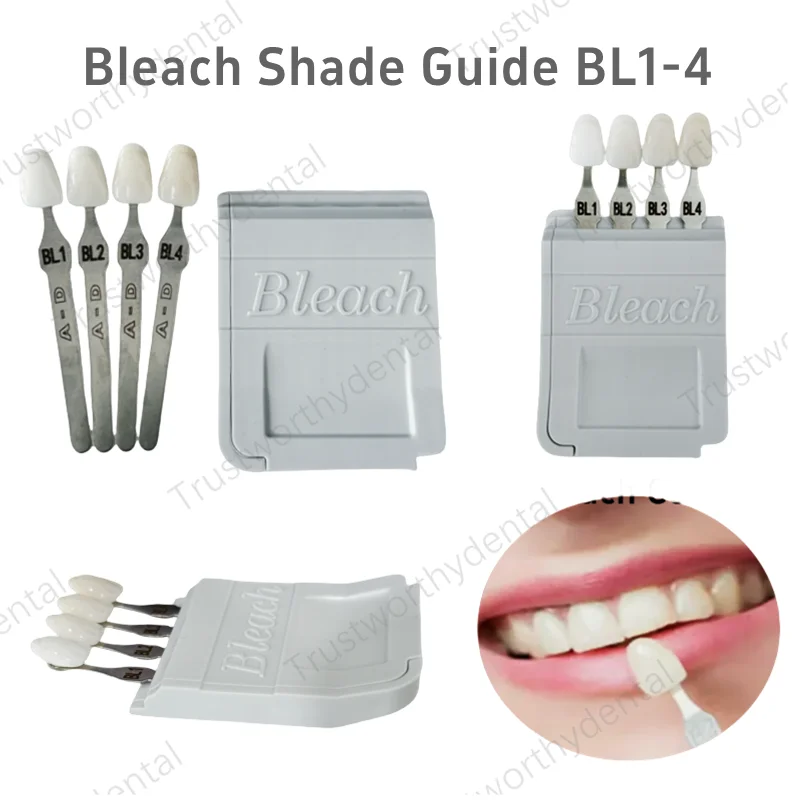 Dental-Bleach-Shade-Guide-4-Colors-Bleached-Chart-BL1-BL2-BL3-BL4-Teeth ...
