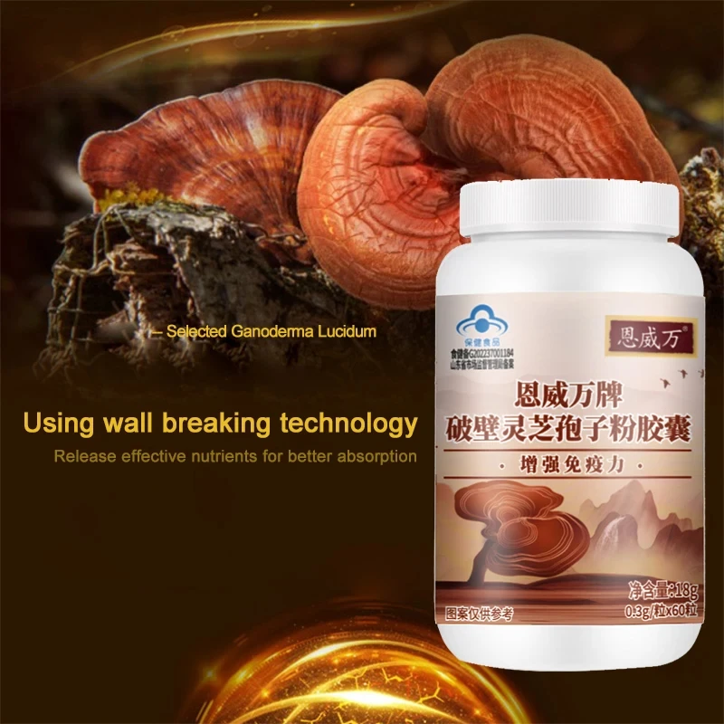 Hot-selling-anti-aging-ganoderma-lucidum-spore-powder-capsule-Broken ...