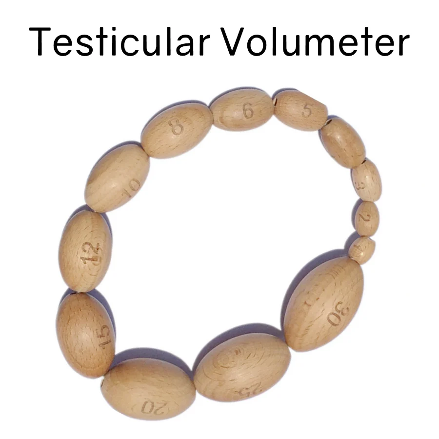 13-Kinds-of-Size-Wooden-Orchidometer-Testis-Volume-Size-Meter-Testis ...