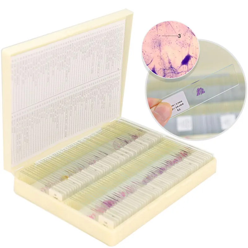 100 PCS Human Tissue Sections Slices Histology Prepared Specimen ...