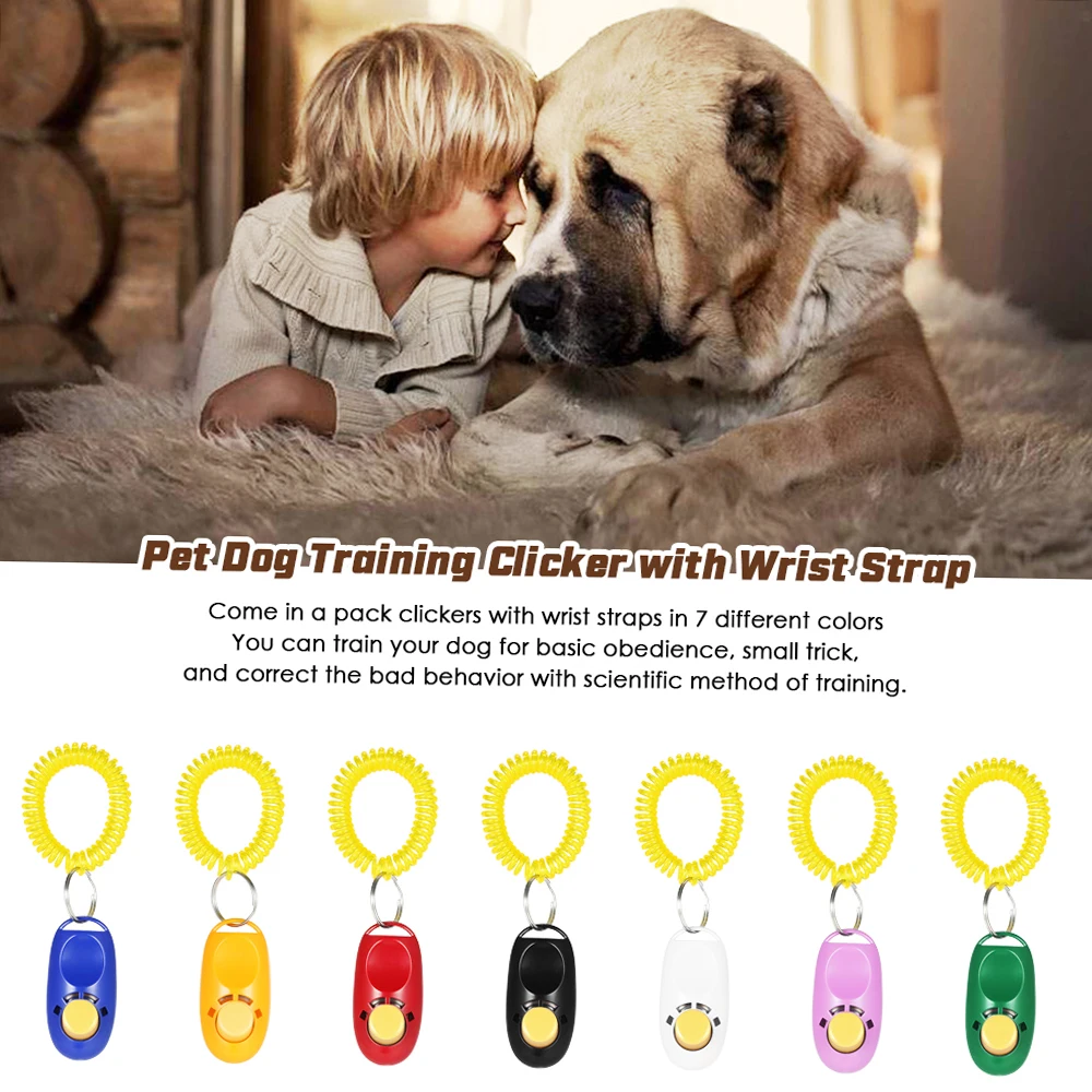 How To Use A Dog Clicker Correctly