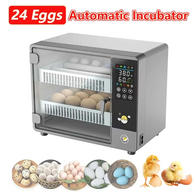 24 Eggs Incubator With Drawer Type Egg Incubator Turner With Automatic ...