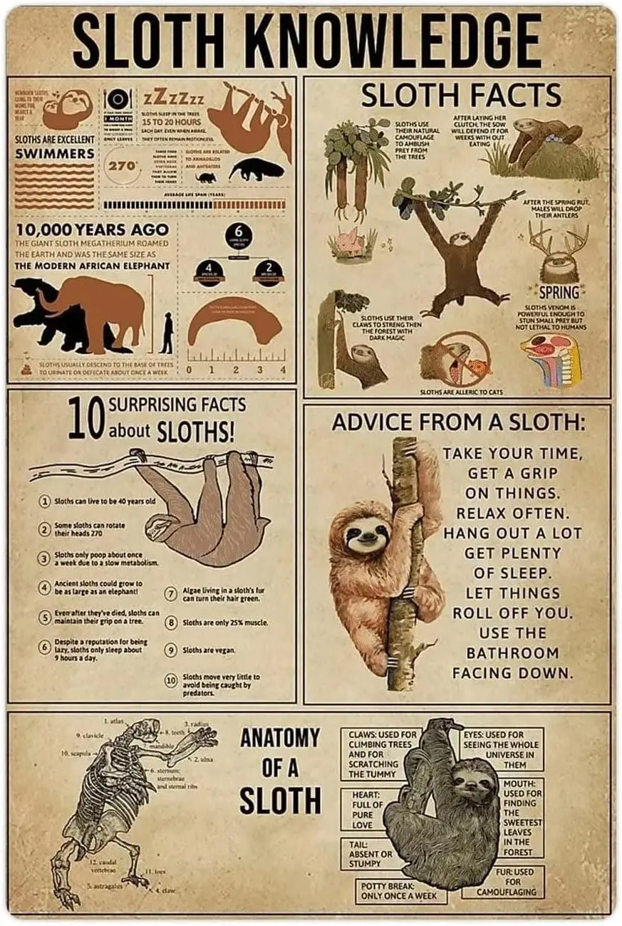 Sloth-Knowledge-Metal-Tin-Signs-Sloth-Infographic-Retro-Plaques-Animal ...