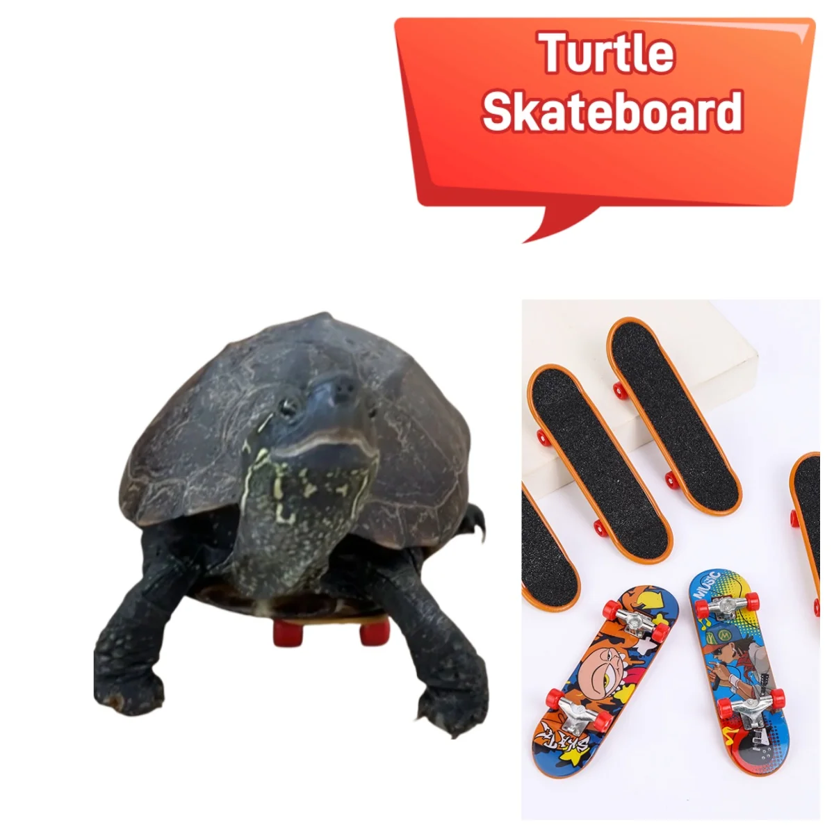 Mini-Small-Skateboard-For-Turtles-Parrot-Turtle-Toy-Finger-Skate-Board ...