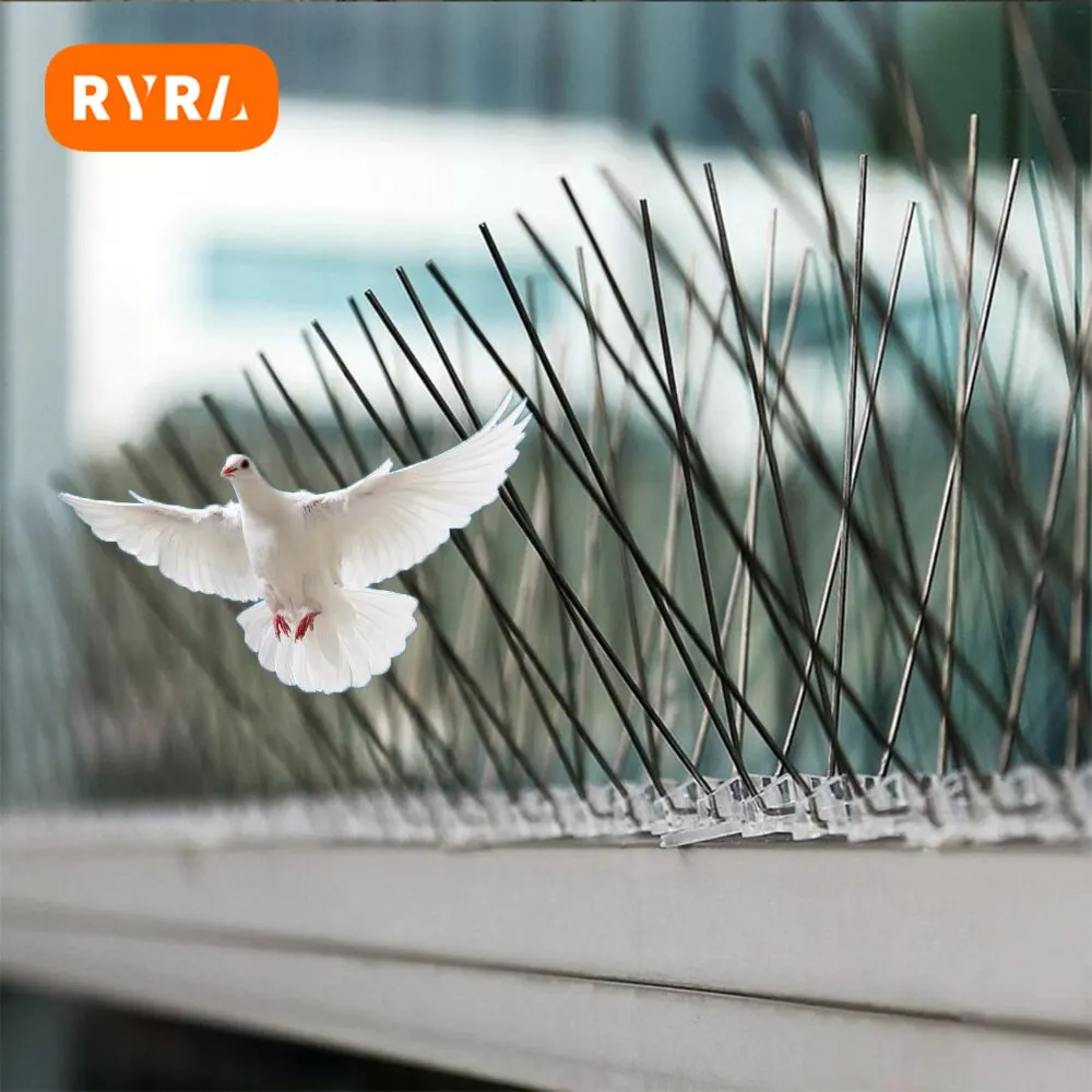 Página principal Productos Comentarios