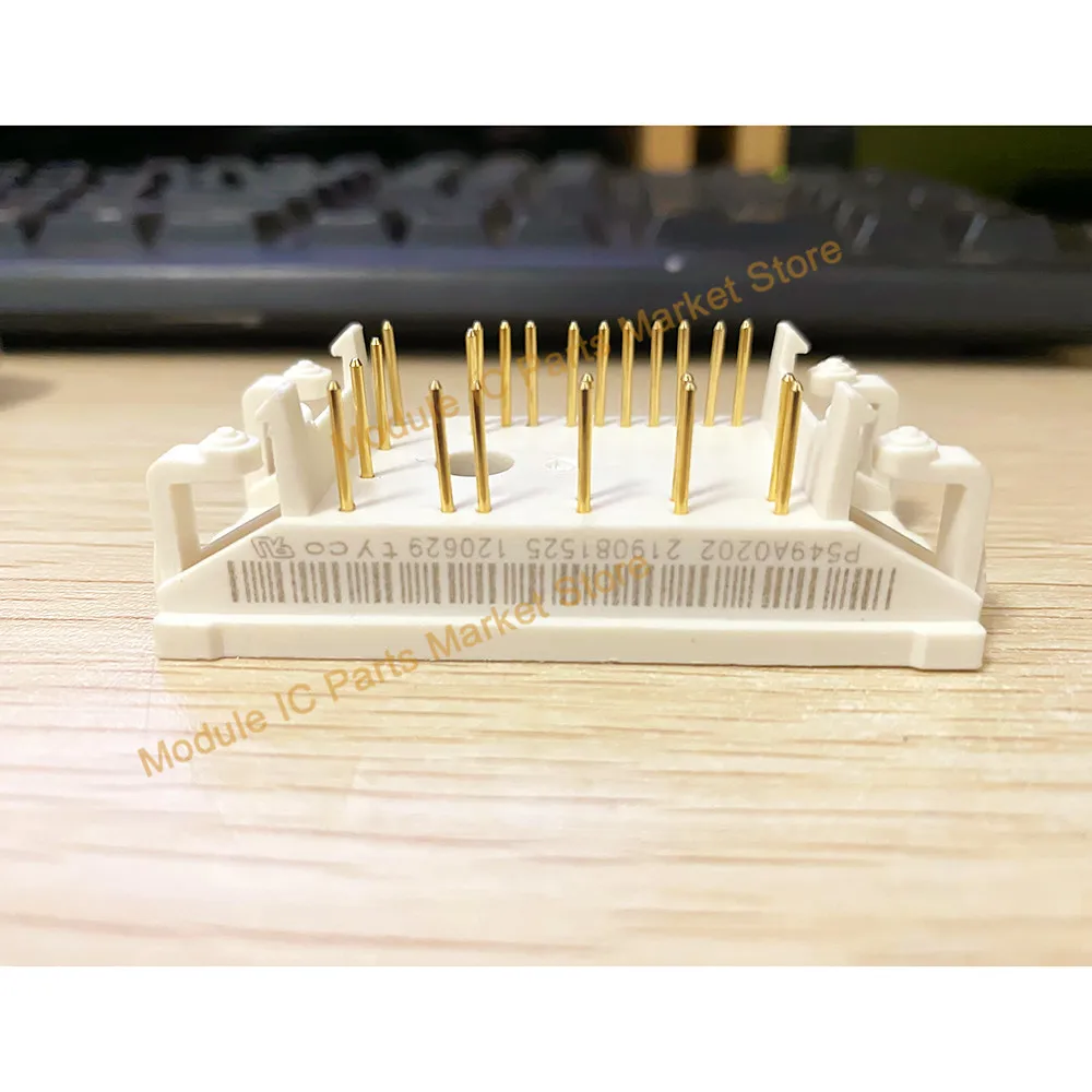 P549A0202-NEW-MODULE.jpg