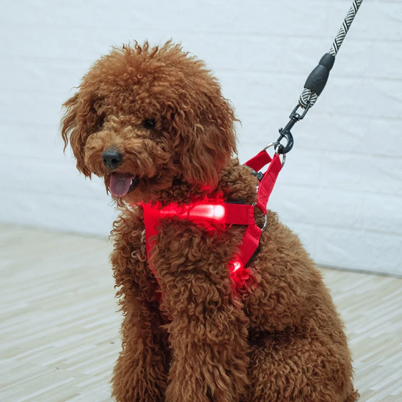 Fashion-LED-Electronic-Pet-Harness-Nylon-Dog-Accessories-Flashing-Light ...