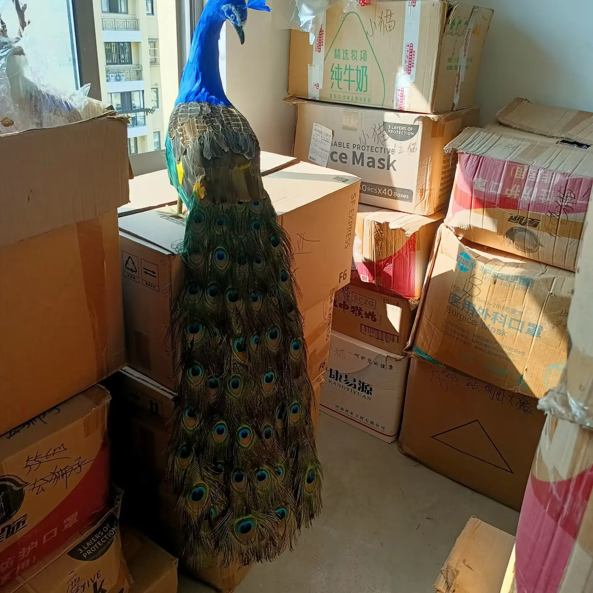 beautiful-peacock-model-foam-feather-simulation-peacock-bird-gift-about ...