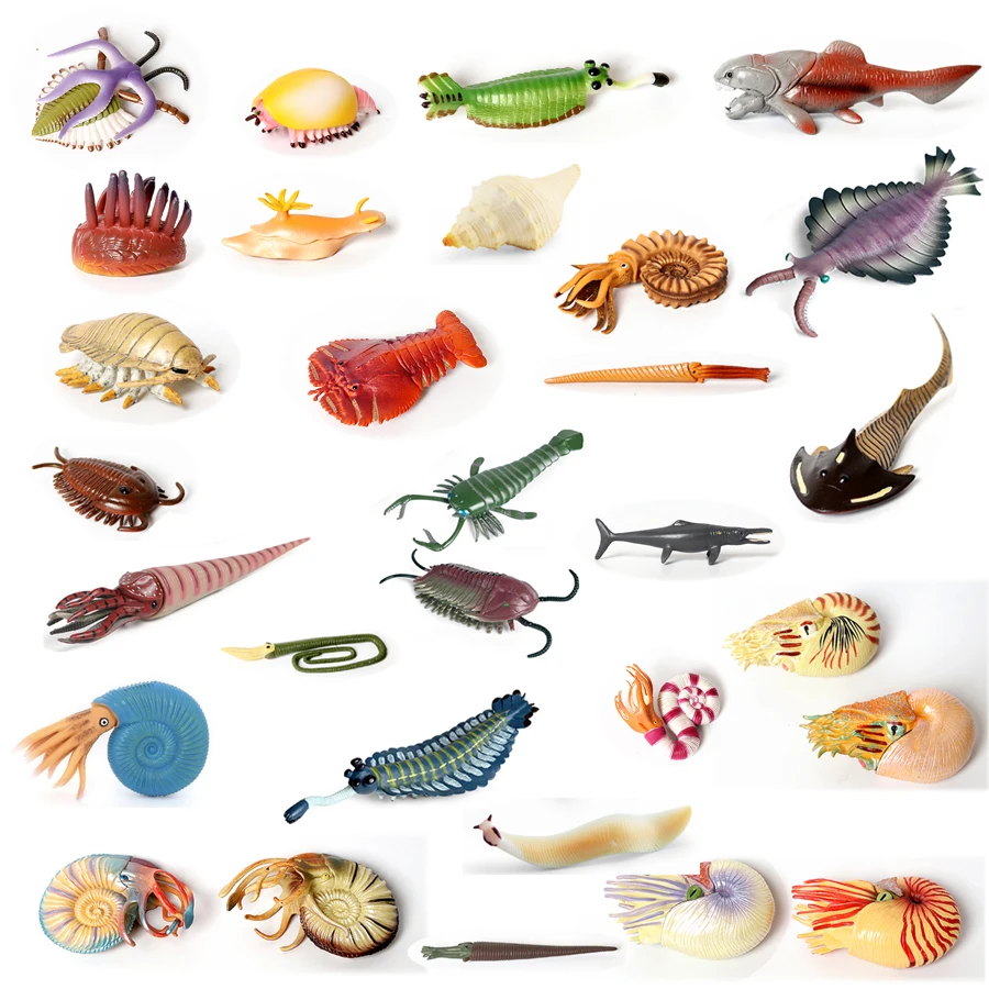 Plastic-Prehistoric-Sea-Creature-Ancient-Cambrian-Ocean-Animal-Nautilus ...