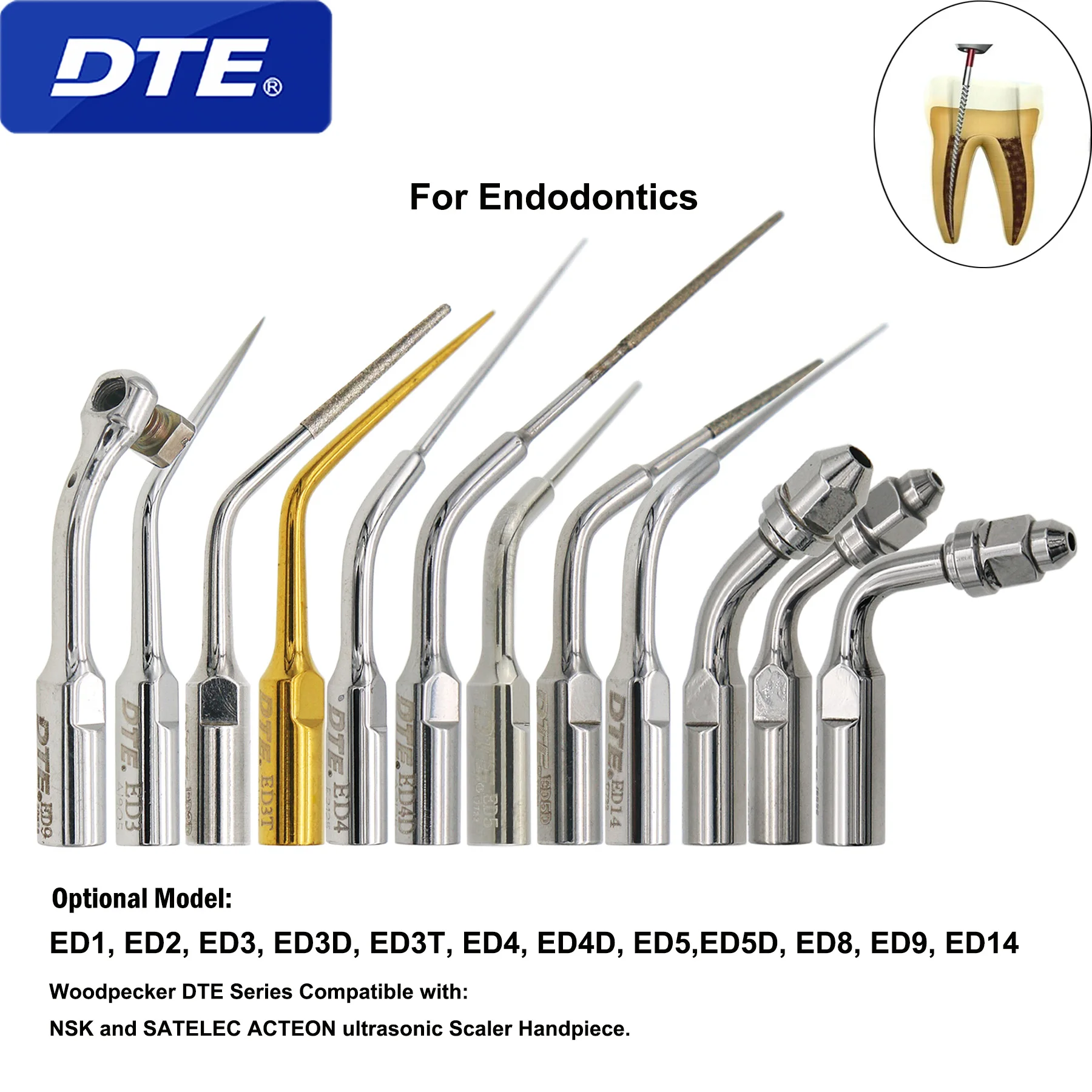 Woodpecker DTE Dental Ultrasonic Perio Scaler Scaling Endodontics Tips ...