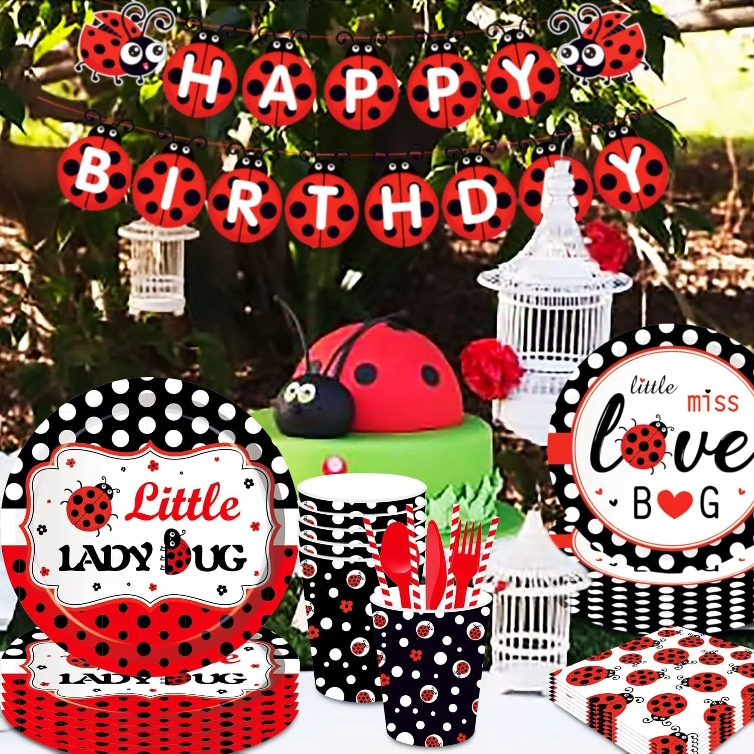 Lady Bug 1st Birthday