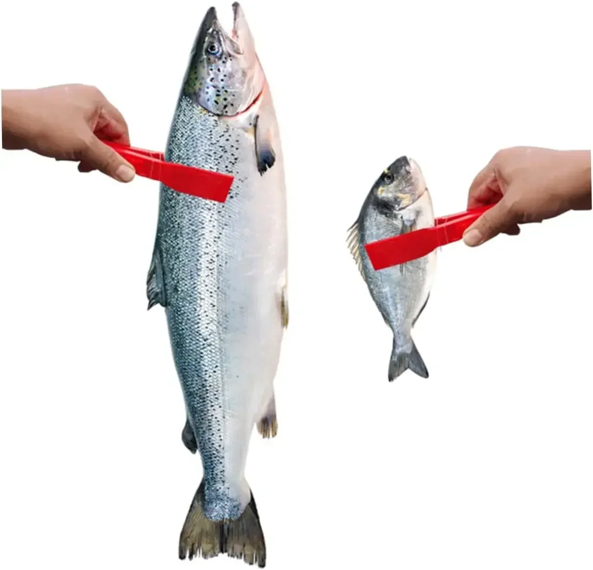 Fishing-Gripper-Fishing-Pliers-Fish-Clip-Fish-Control-Pliers-Fish ...