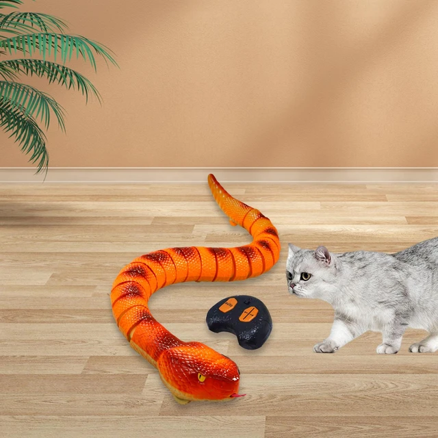 Crawling Animals Snake