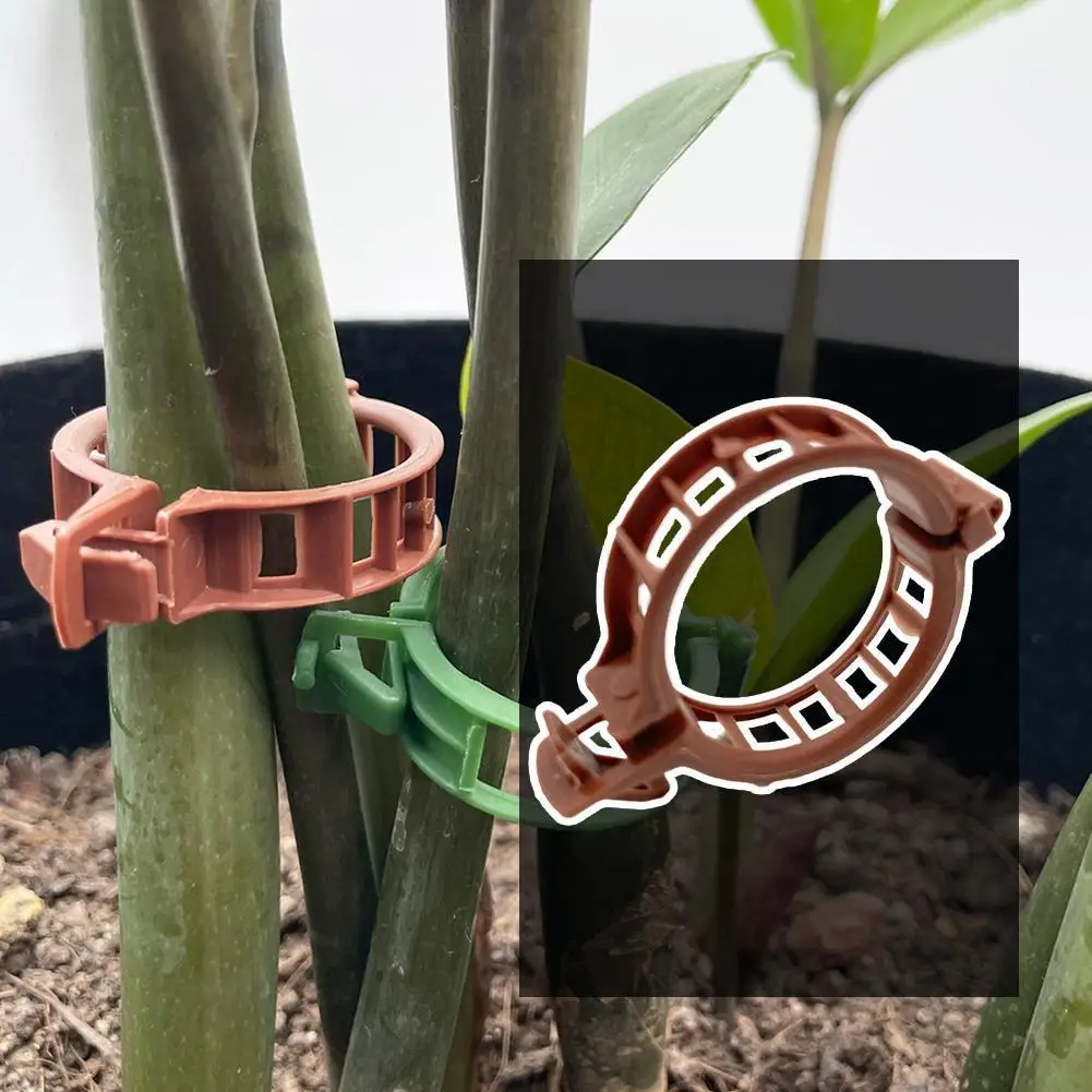 100pcs-Garden-Clip-Set-Greenhouse-Tomato-Stem-Support-Clips-Plastic ...