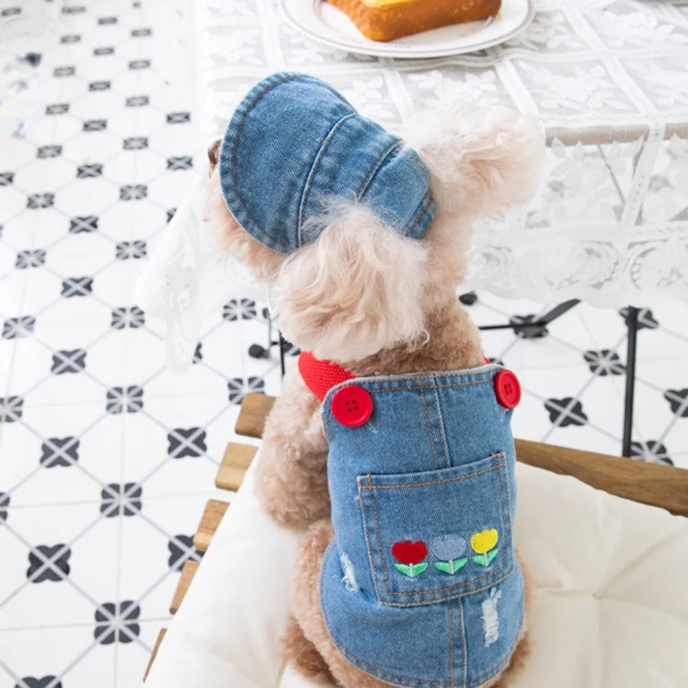 Autumn-Winter-Embroidered-Denim-Skirt-Plush-Pet-Clothes-Cat-and-Dog ...