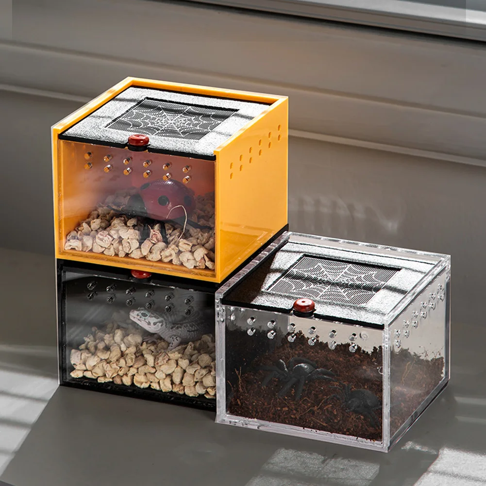 Insect-Breeding-Box-Terrariums-Small-Reptile-Hatching-Container-Acrylic ...