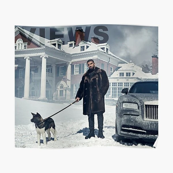 Drake Walking Funny Pictures
