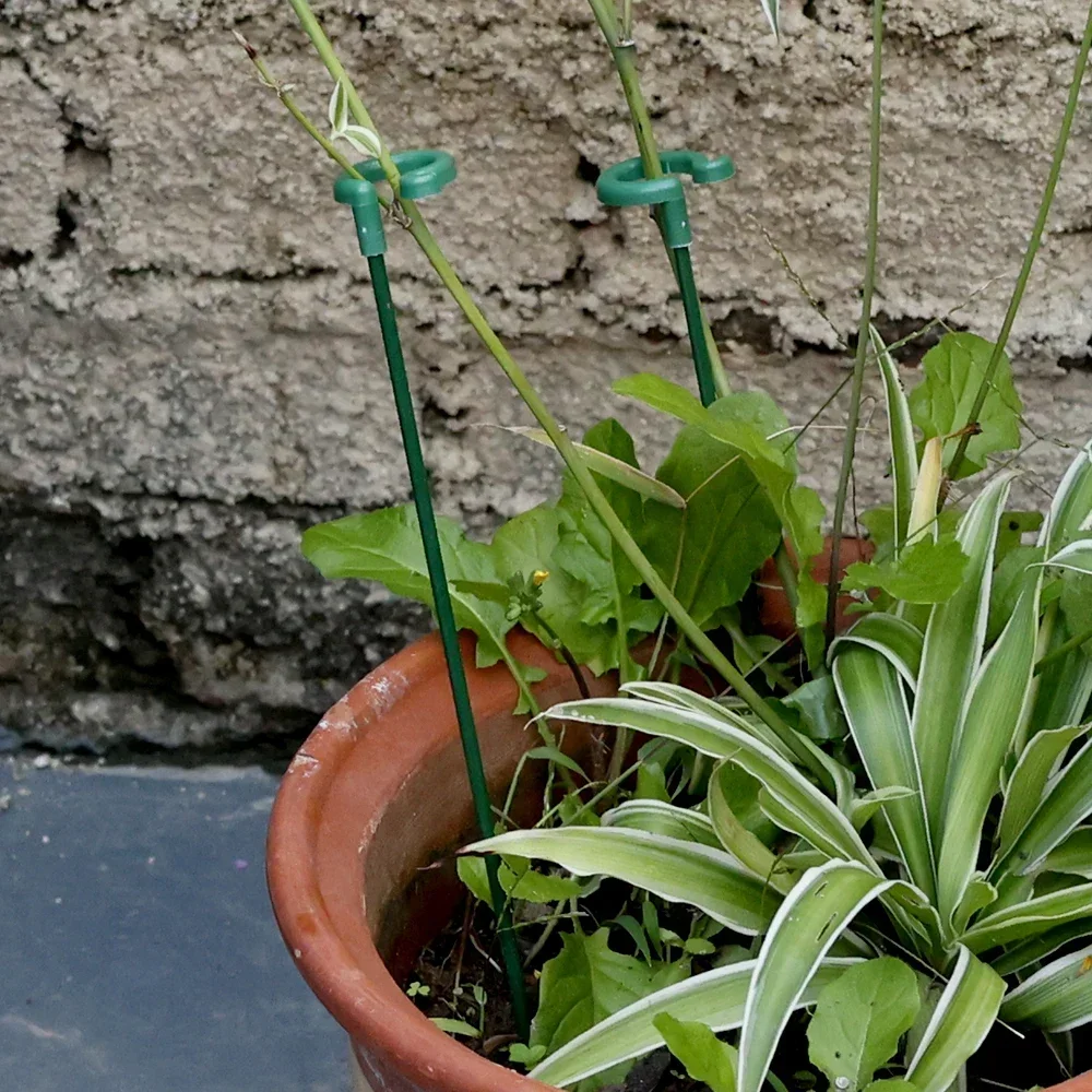 Plastic Plant Support Poles – Garden Exploration