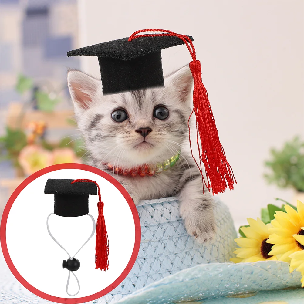 Graduation-Rabbit-Graduation-Hat-Cap-Dog-With-Mini-Dog-Hatss-And ...
