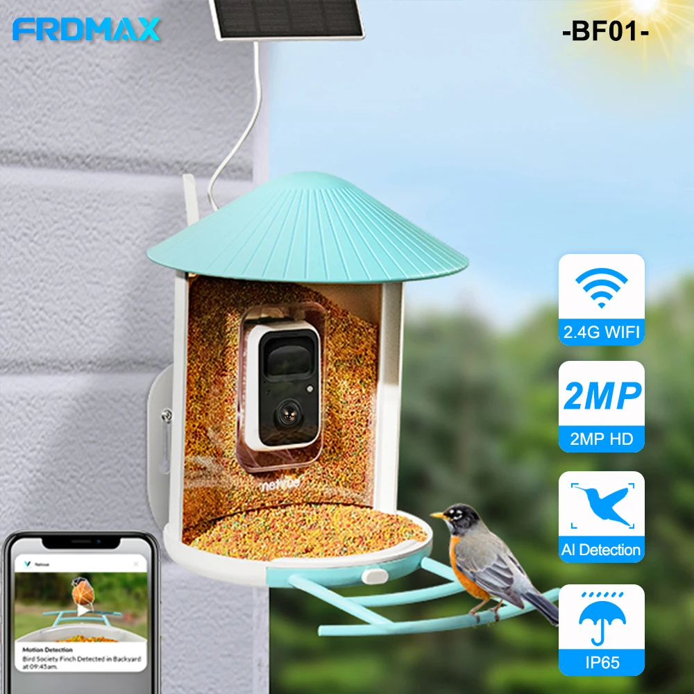 Netvue Birdfy Feeder Cam Review: Fun But Wonky WIRED