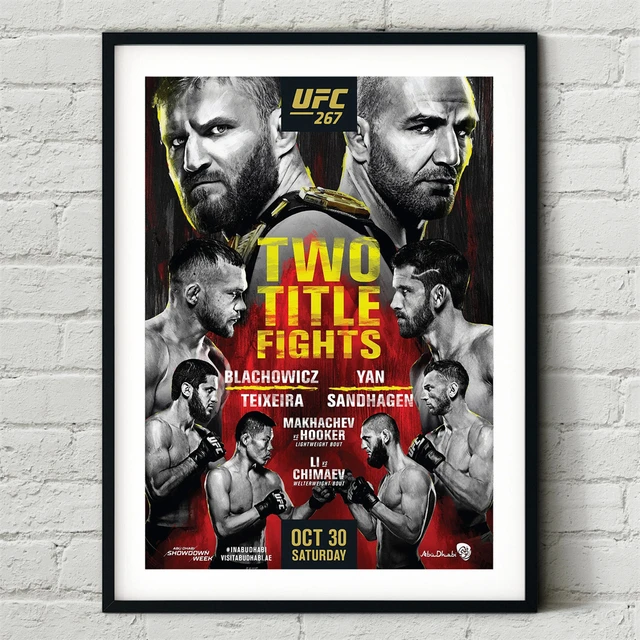 Ufc 175 Poster