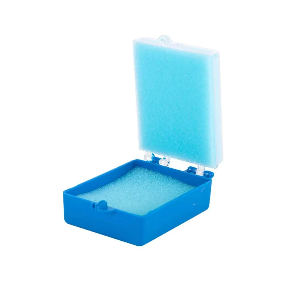 NIGF 50Pcs Denture Storage Box Dental Implant Storage Box Plastic Tooth ...