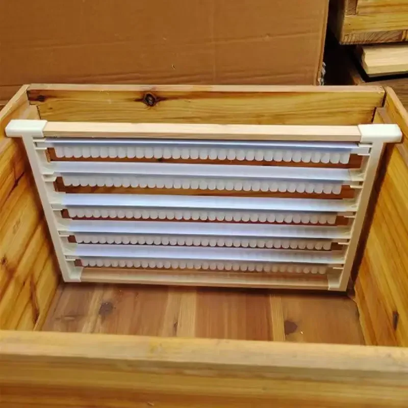 Breeding-Frames-Plastic-Chinese-Bee-Italian-Bee-Bees-Specialized-High ...