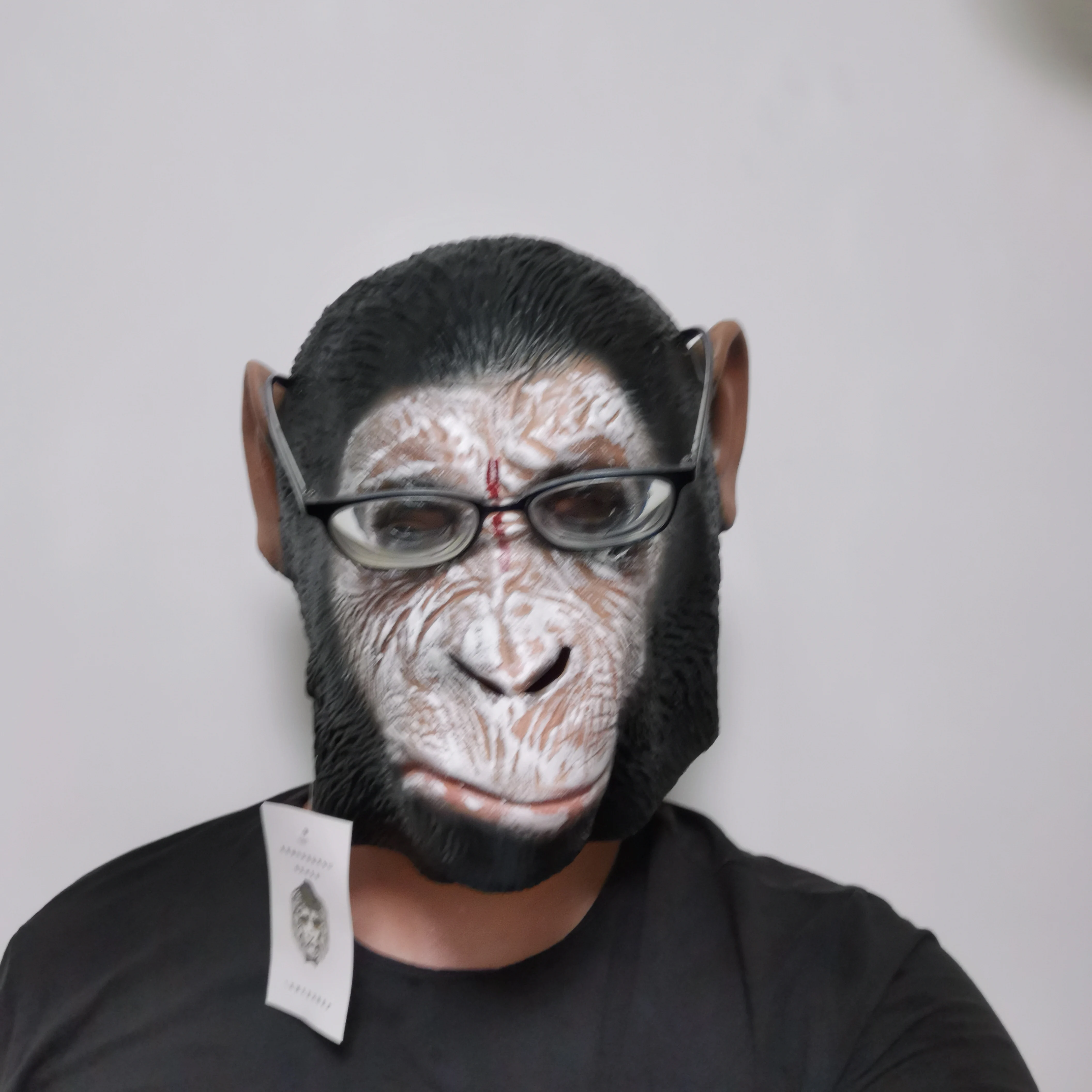 Monkey Masquerade Masks