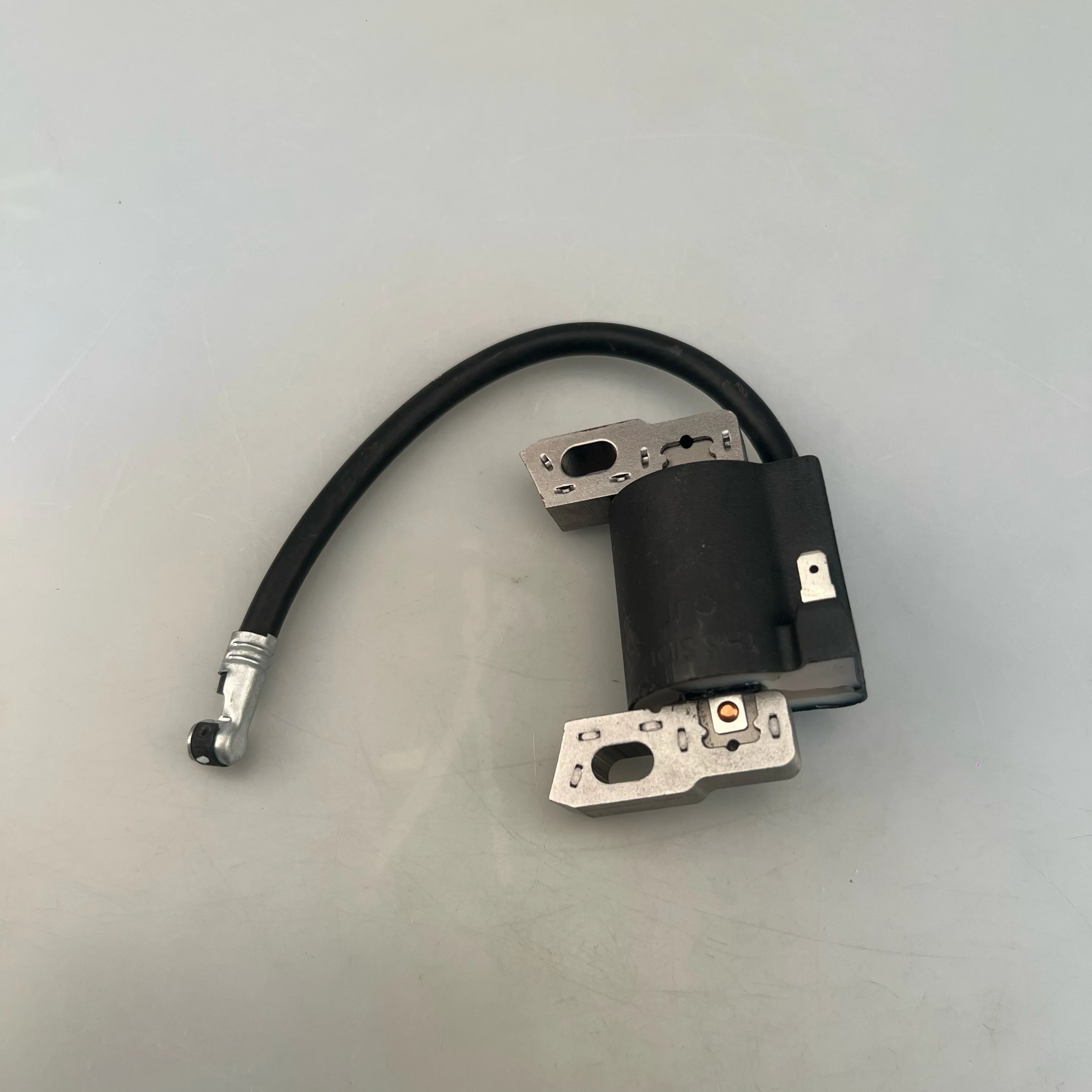 Ignition Coil For Briggs & Stratton Professional, 800E 850E 850EX 875EX ...