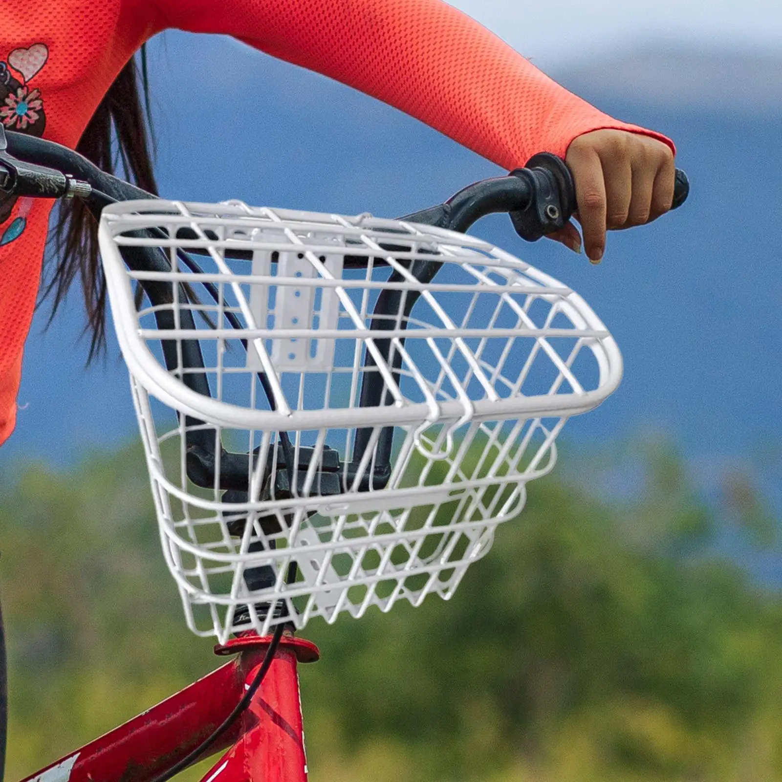 Bicycle-Basket-Luggage-Pannier-Basket-with-Lid-Organizer-Bike-Front ...