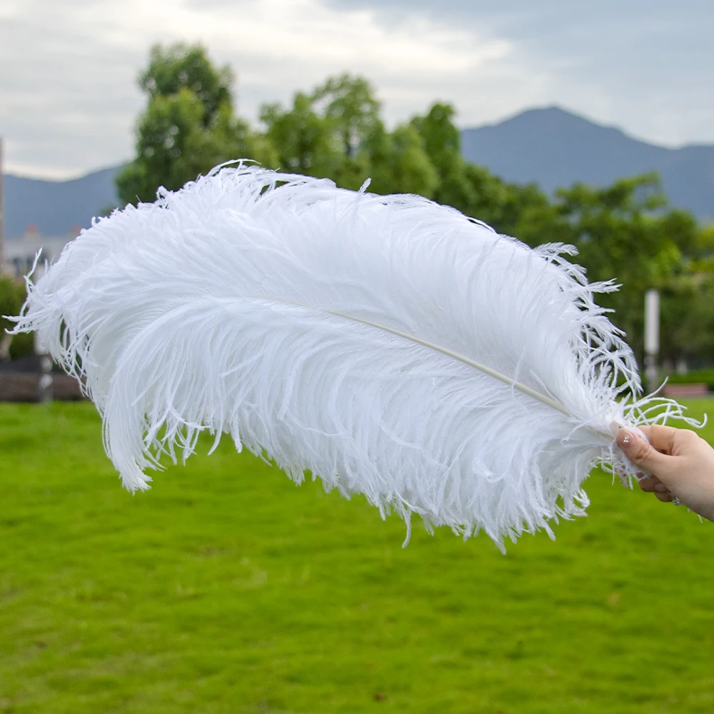 Paquete De 600 Plumas Artesanales Plumas Blancas Para Manualidades ...