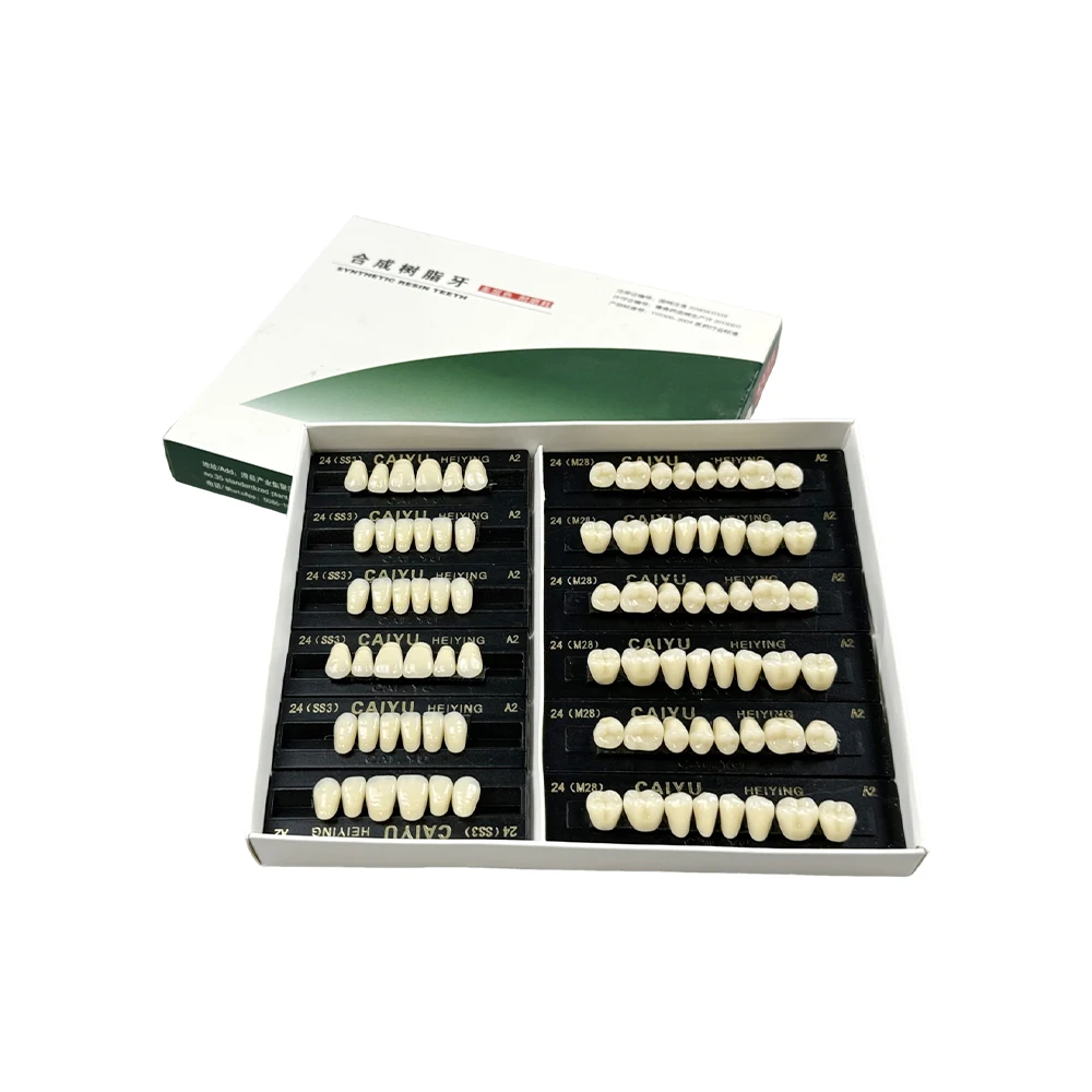 28 Teeth/set Resin Denture Teeth A2 A3 Dental fake Teeth Full Set ...