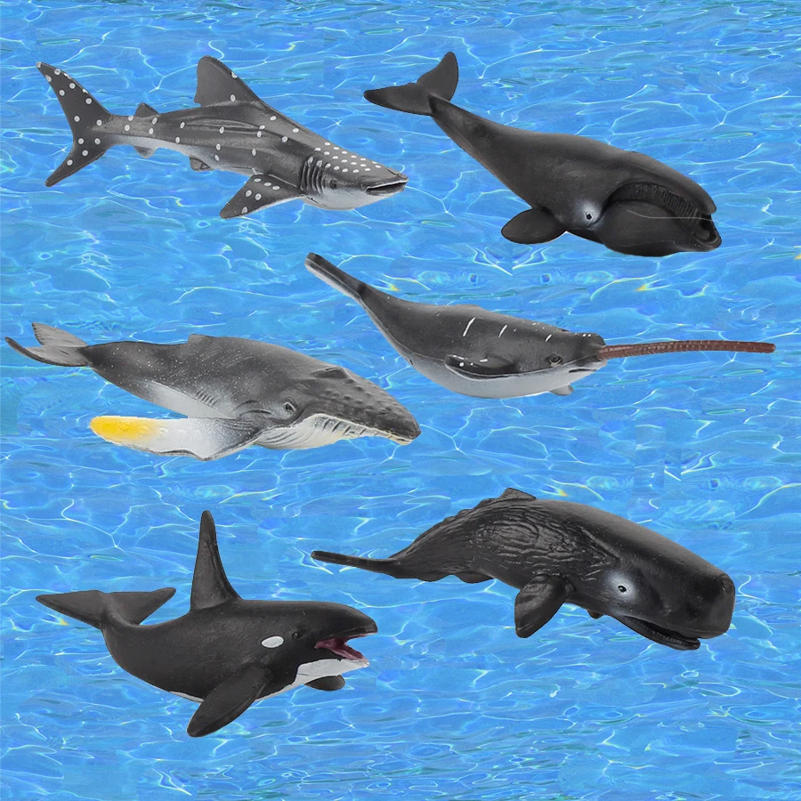 6-pces-mini-simula-o-oceano-animais-de-a-o-pl-stica-modelo-de-baleia ...