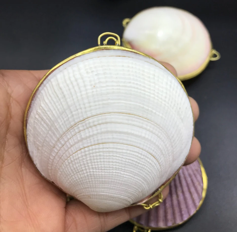 Aqumotic Natural Shell Jewelry Box Cans Conch Crafts No Chain Ear Studs ...