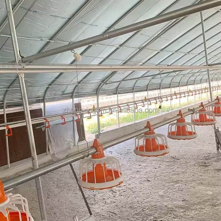 Poultry-Farming-Chicken-Broiler-Feeding-System-Automatic-Pan-Feeding ...