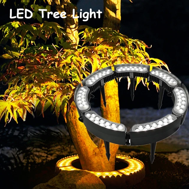 Sidewalk Tree Ring