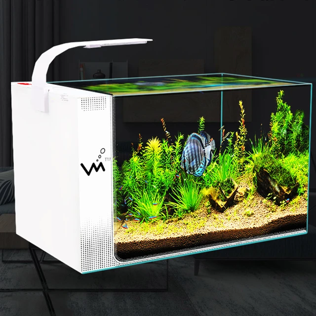 Small Brine Shrimp Tanks