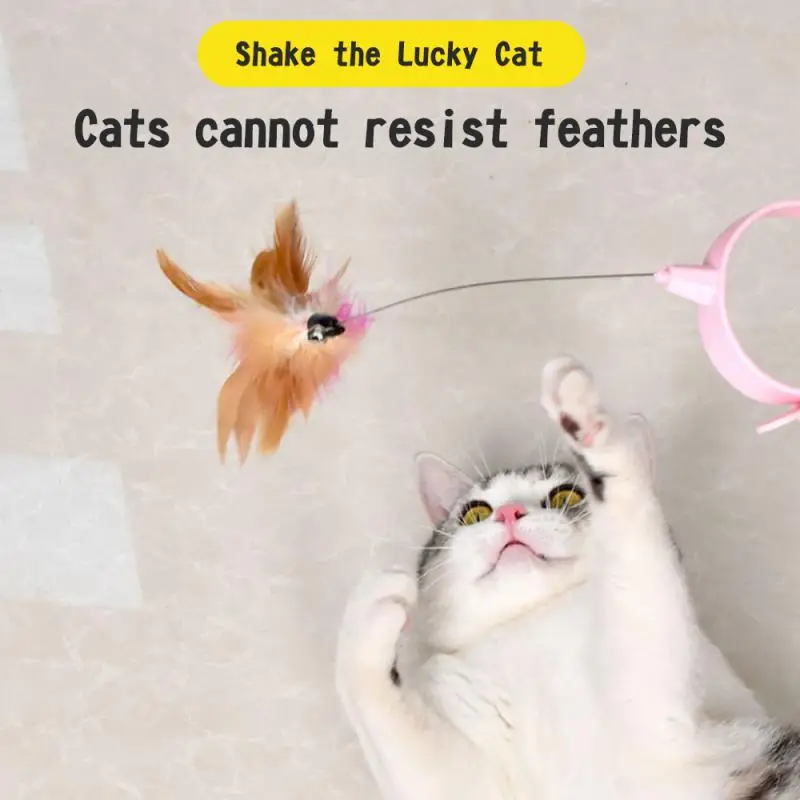 Feather-Teaser-Stick-Interactive-Cat-Toys-Pets-Collar-Collar-Toys-Cats ...