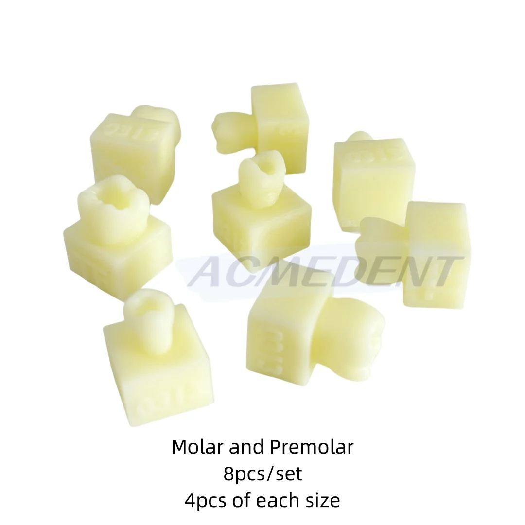 1-Set-8pcs-Dental-Teaching-Permanent-Tooth-Model-Student-Practise-Teeth ...