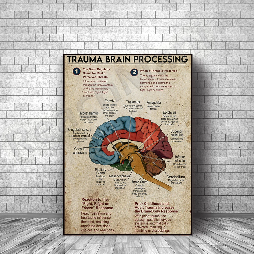 Traumatic-brain-processing-vertical-poster-brain-anatomy-wall-art ...