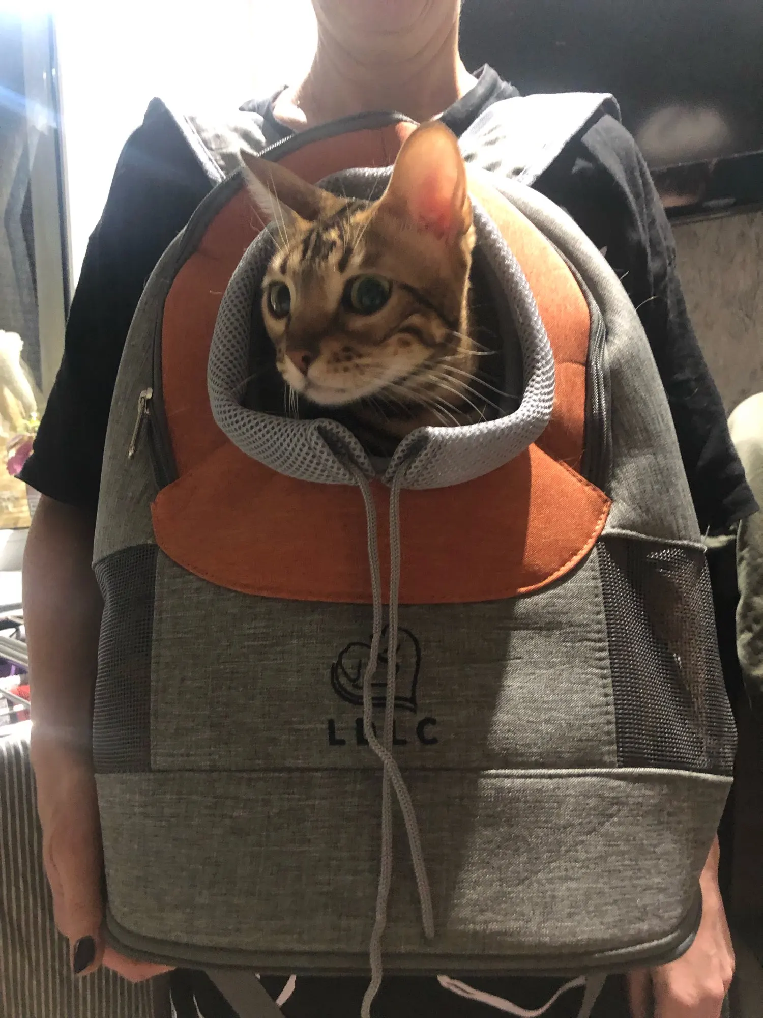 High-Quality Mini Pet Backpack – DogMEGA – DogMega.Com