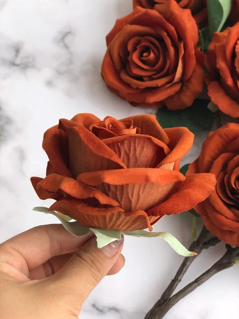 Rust Colored Roses