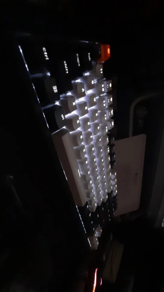 Keychron C1 Wired Mechanical Keyboard (US ANSI Layout)