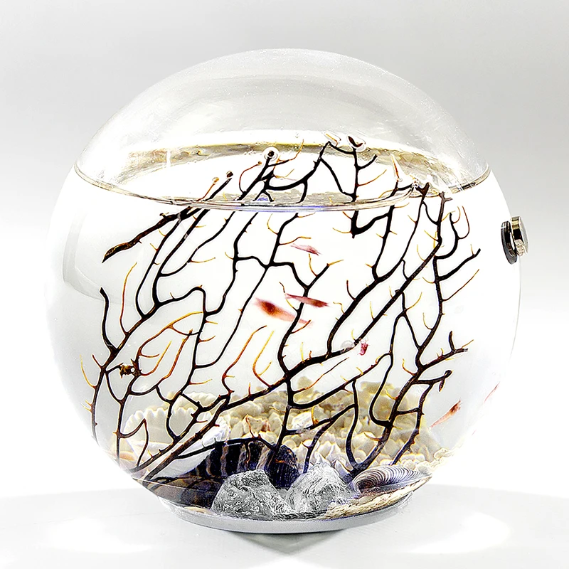 Ecosphere developed by NASA Aquarium marine ecosystem self-sufficient ...