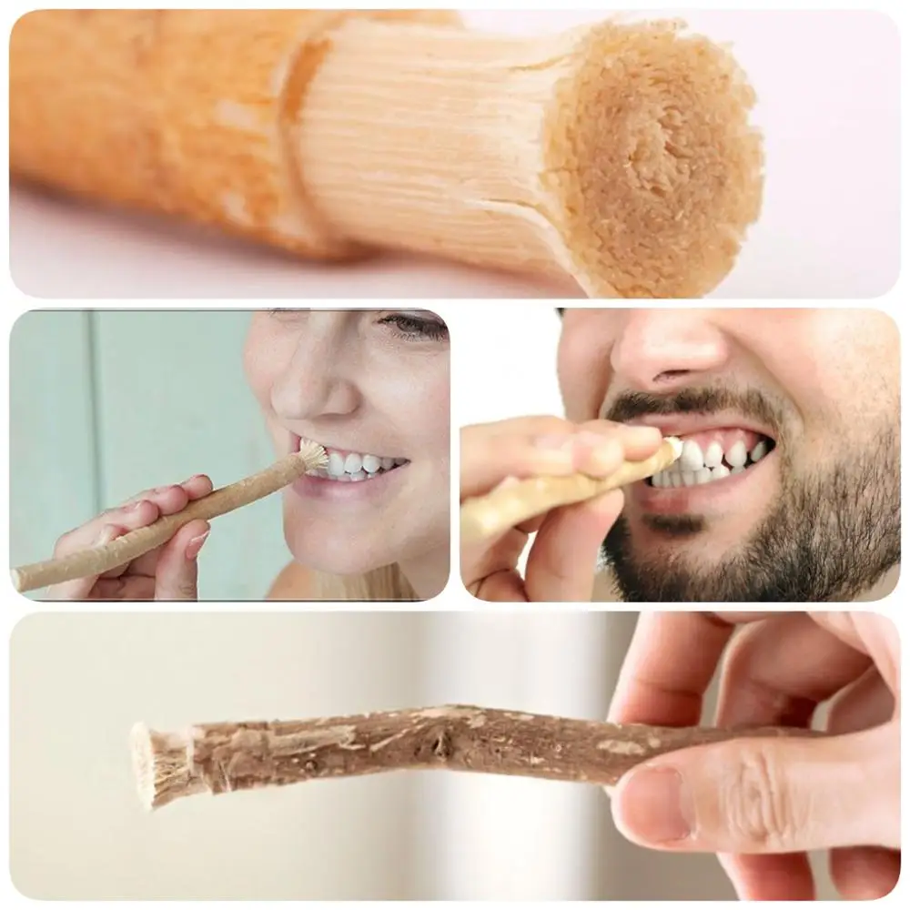Turkish Set Of 10 Fresh Natural Toothbrush Muslims Miswak Siwak Arak ...