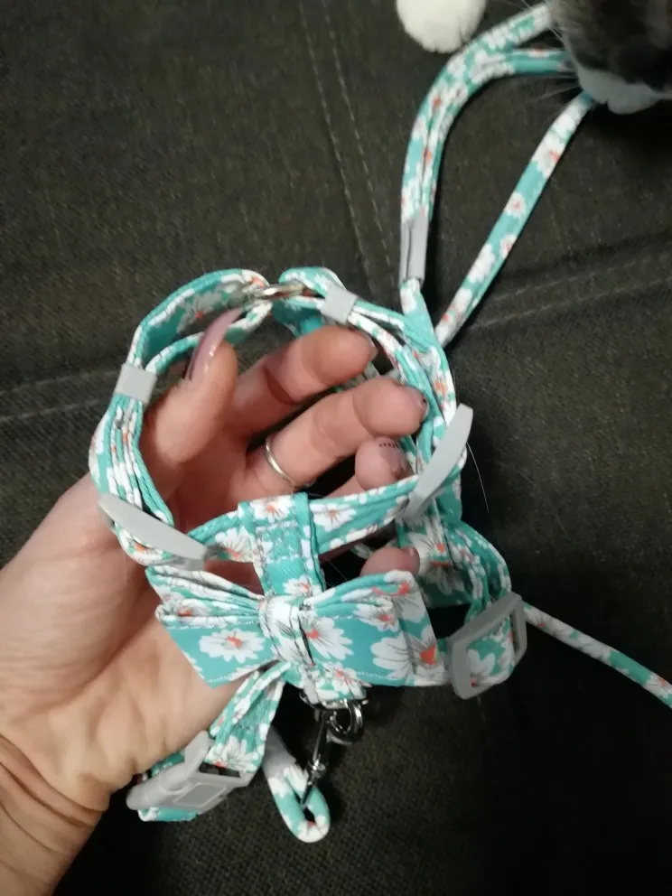 MEGA Cute Dog Harness and Leash | DogMega.Com