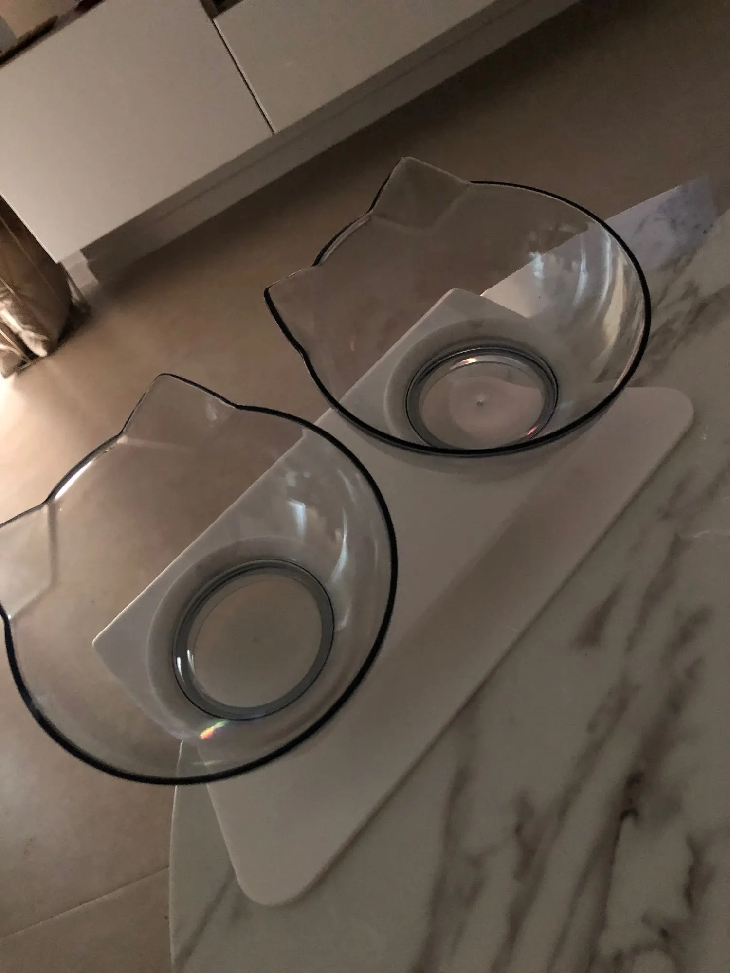 Transparent Double Cat Bowls - Life Changing Products