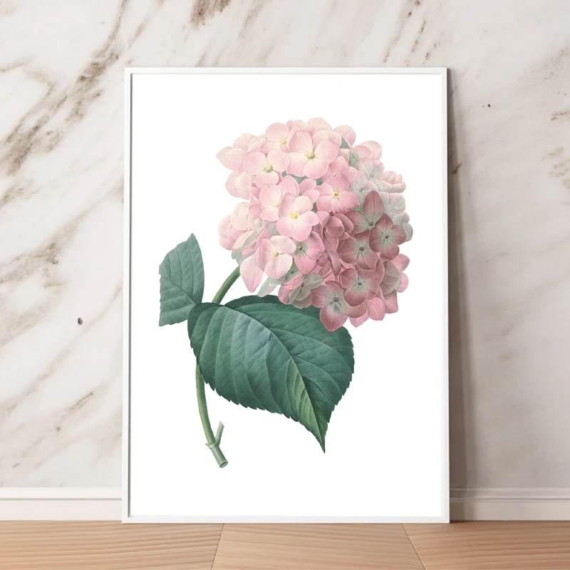 Art & Collectibles Hydrangea Painting Flower Print Vintage Botanical ...
