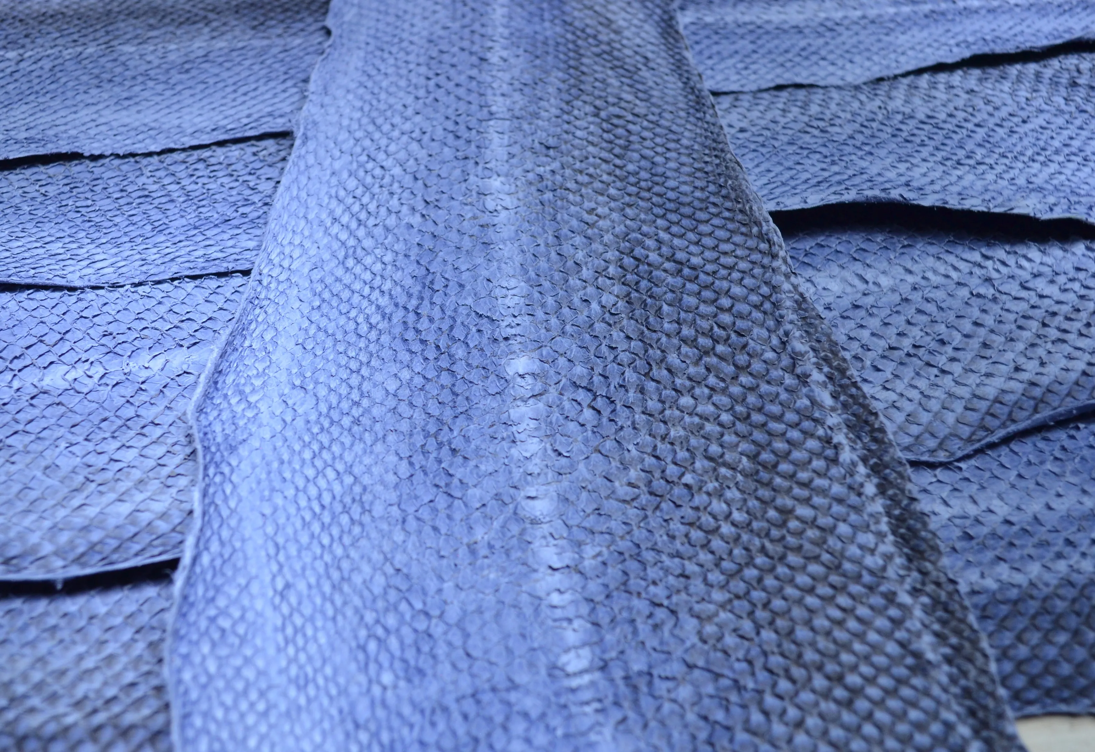Natural Fish Leather, Blue Leather, Exclusive Leather - Genuine Leather ...
